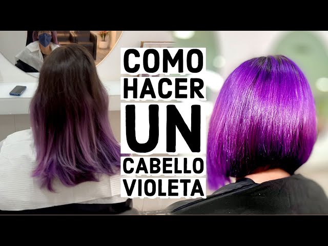 Color De Cabello Castaño Violeta Con Reflejos 10 Colores Naturales