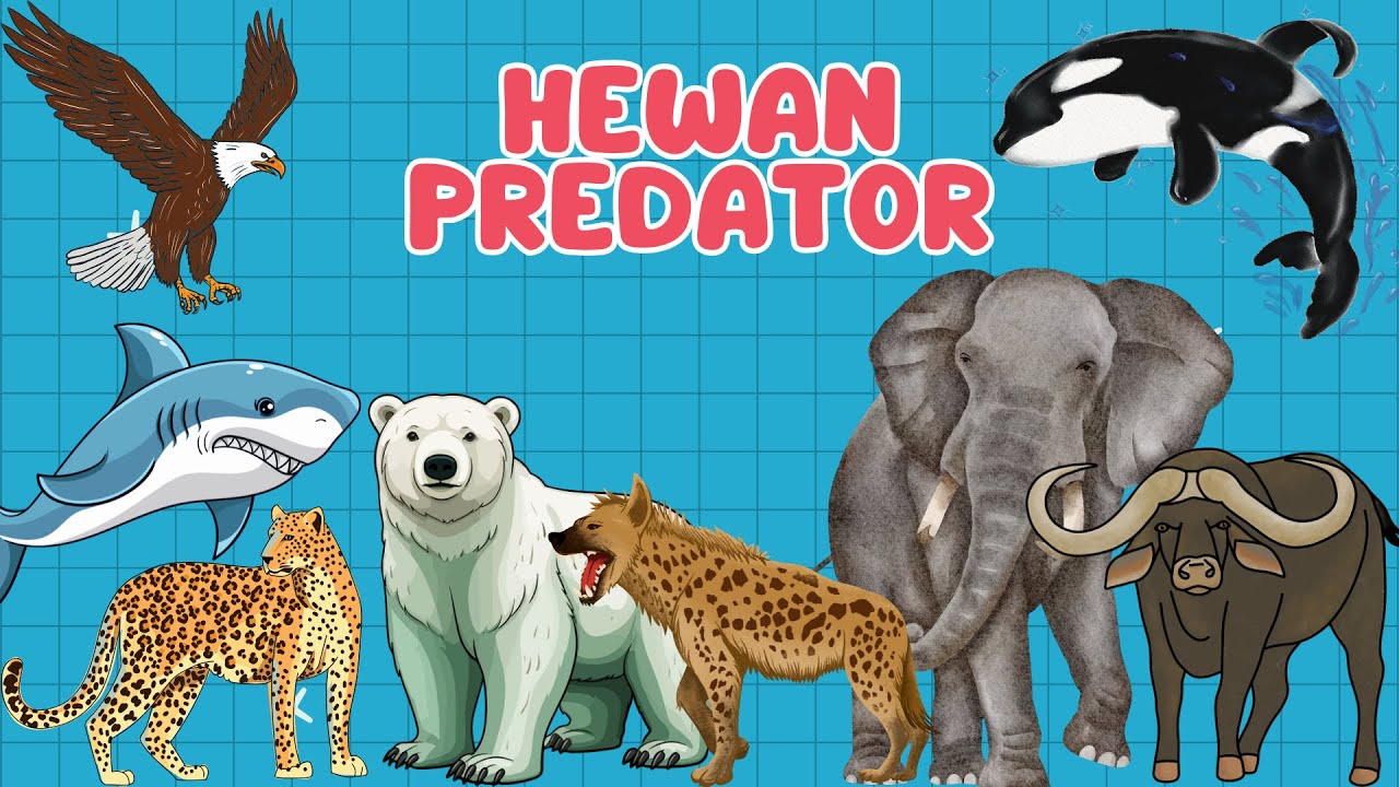Mengenal Hewan Predator yang paling berbahaya untuk anak-anak | - YouTube