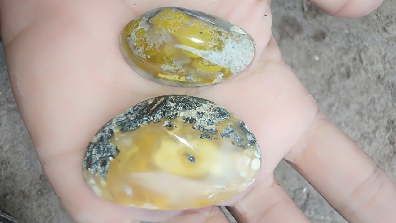 batu keong buntek fosil senjata ikan pari kijing kristal dan gelang ...