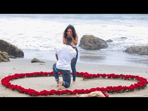 THE PERFECT PROPOSAL
