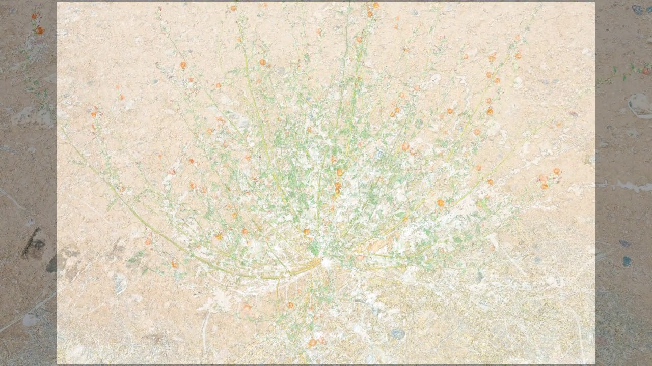 Aaron Rothman: Nature, Made - YouTube