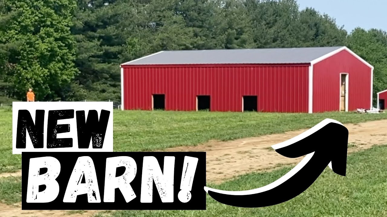 NEW Farrowing Barn Tour! - YouTube