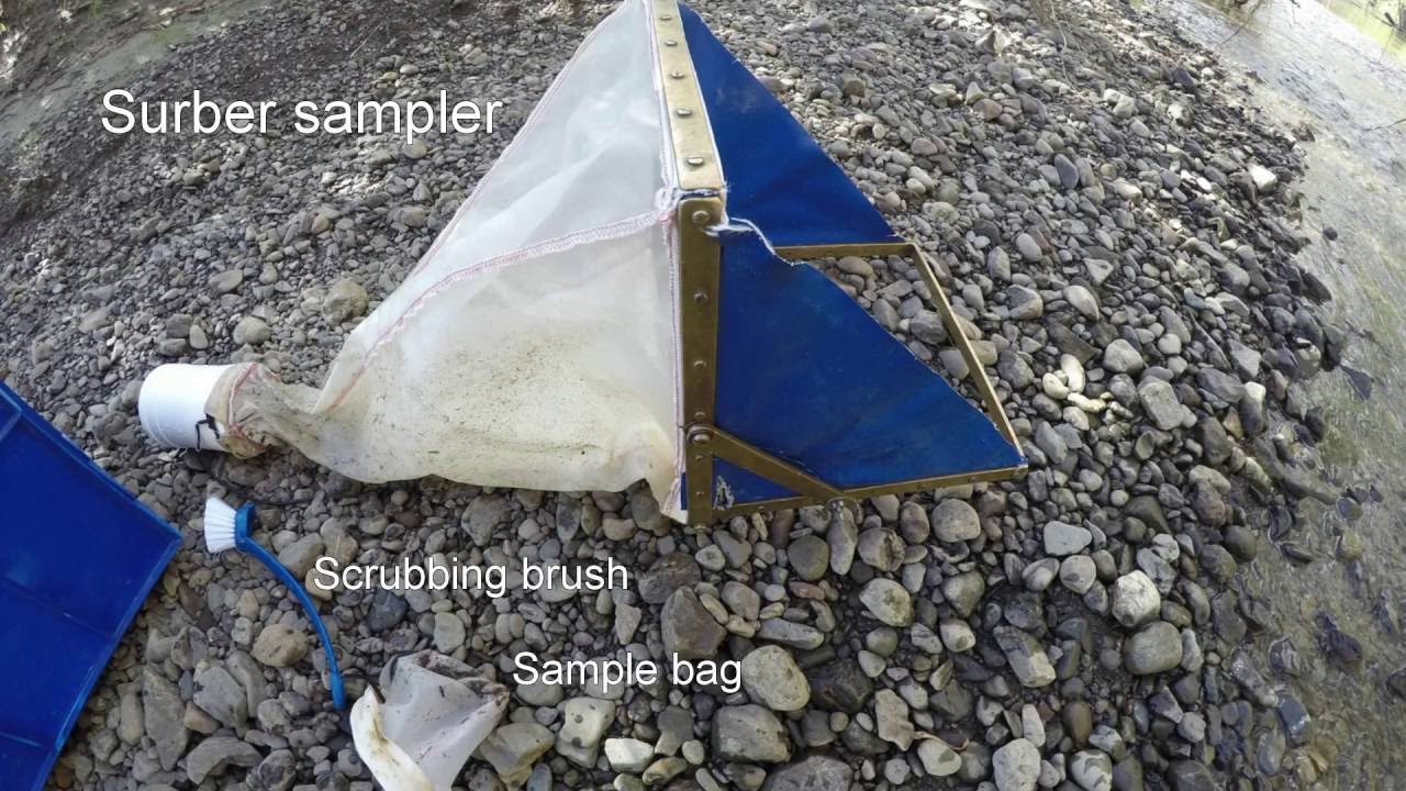 Periphyton and Invertebrate Sampling using a Surber Sampler - YouTube