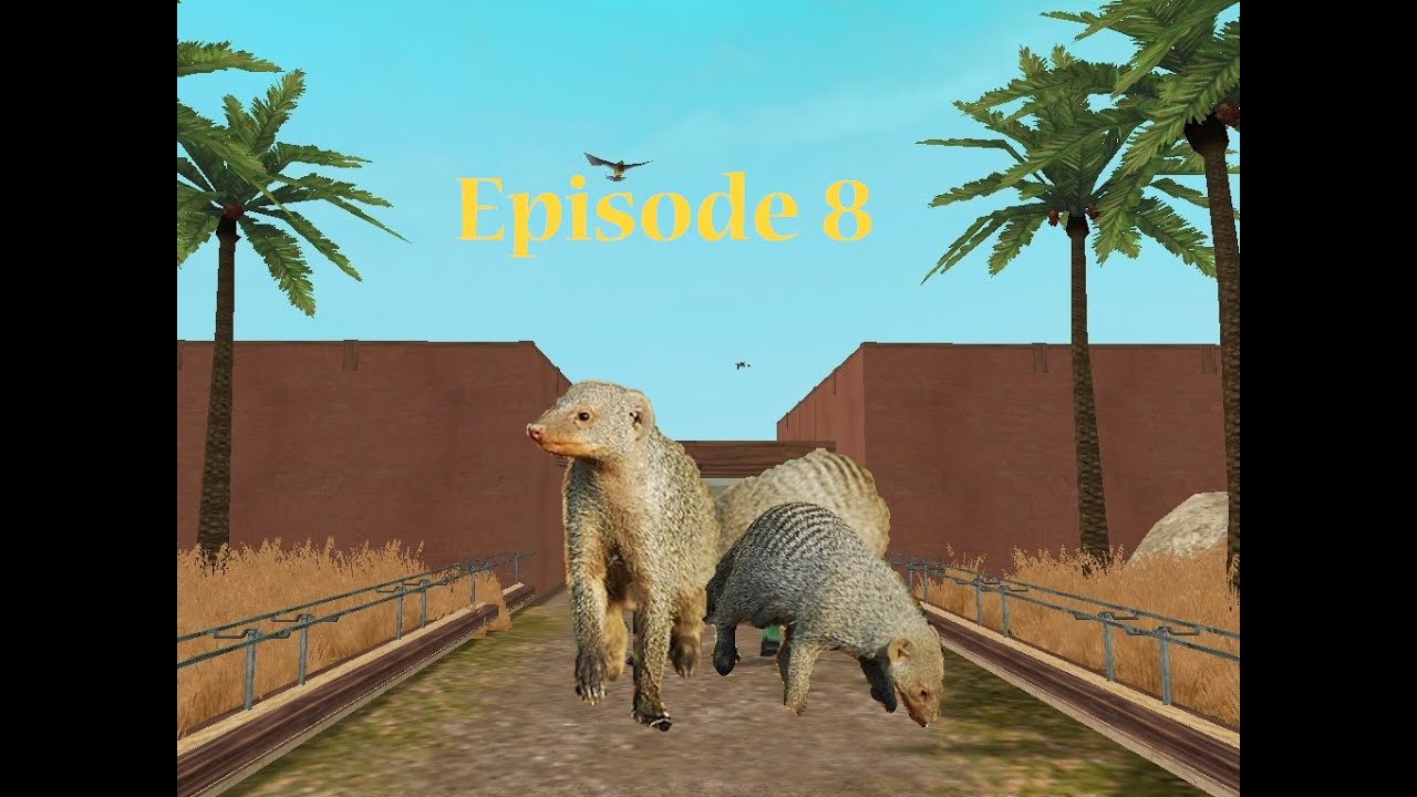 Big Safari Zoo - Episode 8: Done quickly - Banded Mongoose Enclosure ...