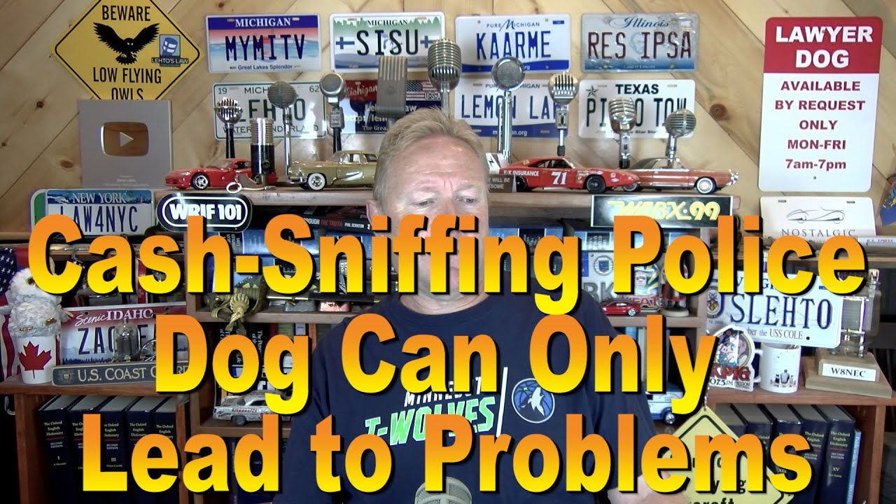 Cash-Sniffing Police Dog Can Only Lead to Problems - YouTube