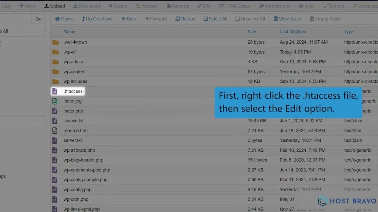 How to edit htHypertext access file through cPanel File manager with Host Bravo - YouTube