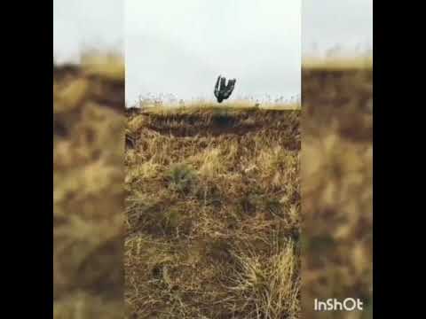 Can emi oğlu can sene qurban olaram şəhidim😔😭