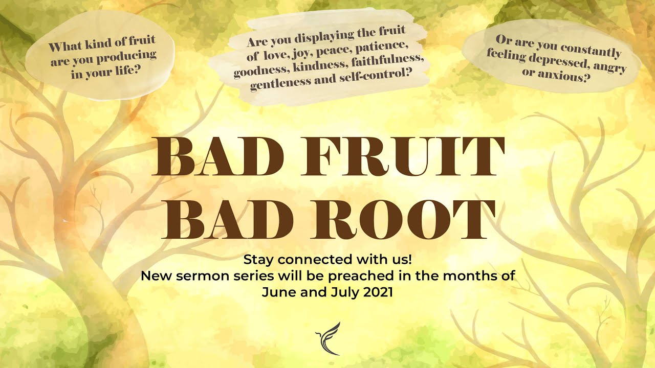 New sermon series: Bad Fruit Bad Root (June - July 2021) | Charis ...