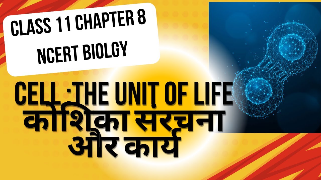 CELL : THE UNIT OF LIFE CLASS 11 NCERT BIOLOGY - YouTube
