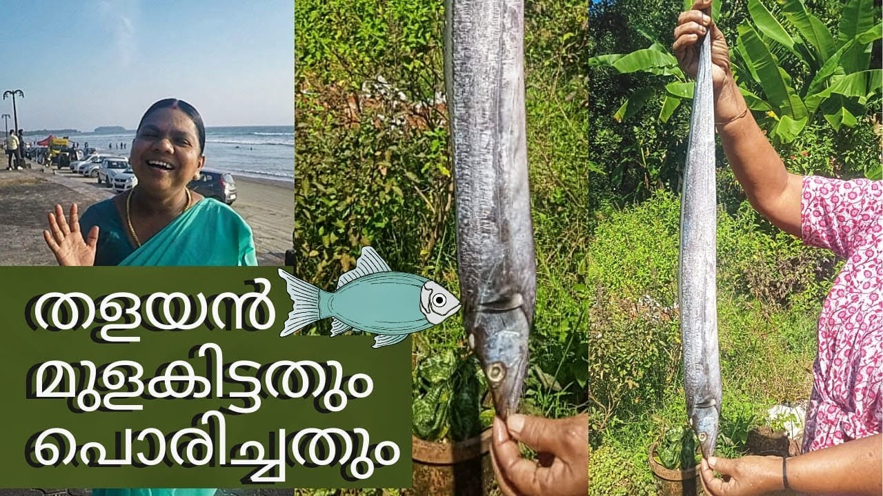 Thalayan Fish Mulakittathu|Ribbon fish Curry|My way of cooking| - YouTube
