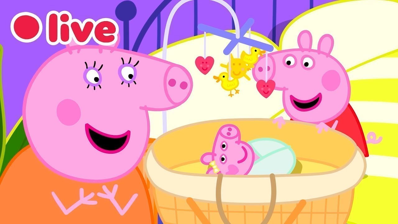 🔴 Peppa Pig BEBÊ EVIE Episódios AO VIVO 🍼 Melhores Momentos da Evie 💛 ...