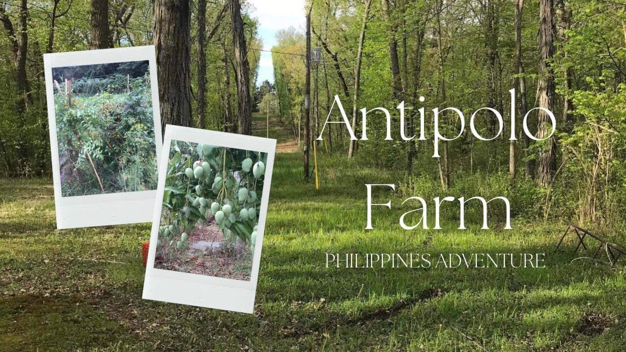 Antipolo Farm!#gayyem#filipino#ilocano#alex - YouTube