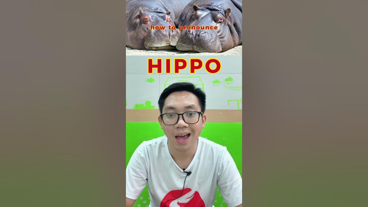Say 'HIPPO' Like a Pro: A Guide to Perfect Pronunciation | Harry Tran ...
