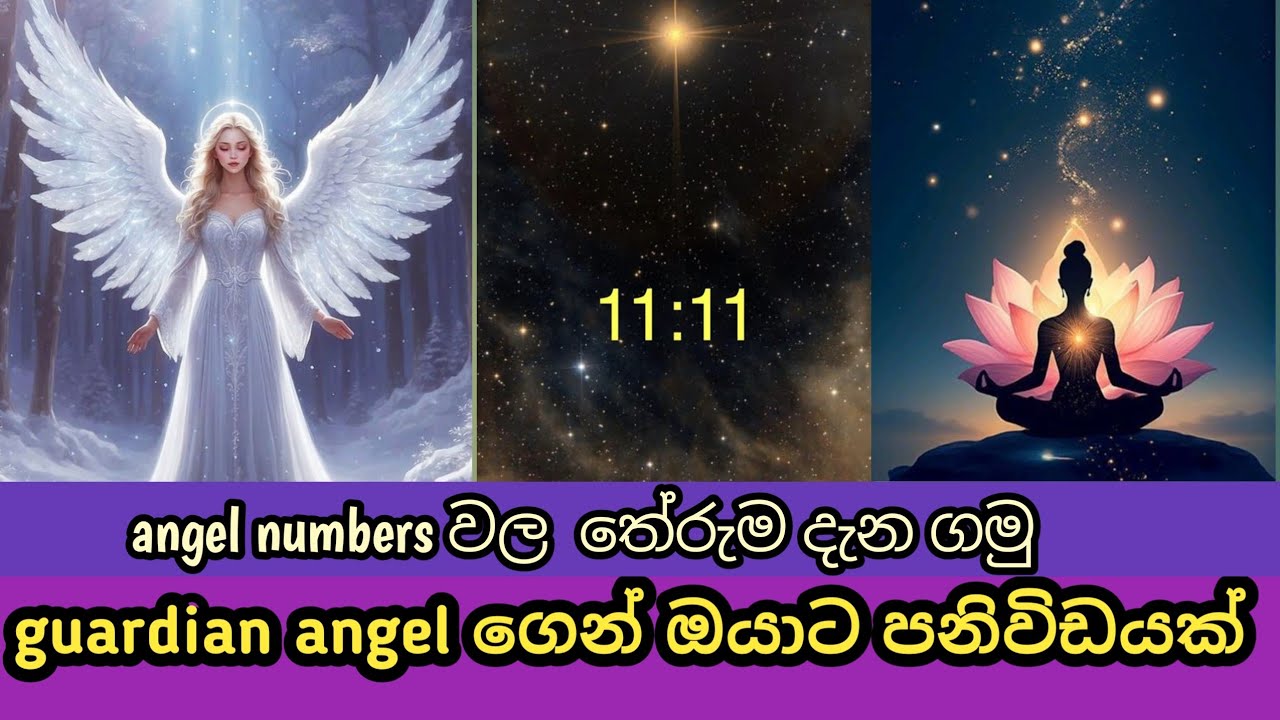 Angel numbers වලින් ඔයාට අරන් එන පනිවිඩය දැන ගමු 🧿🦋/with your guardian ...