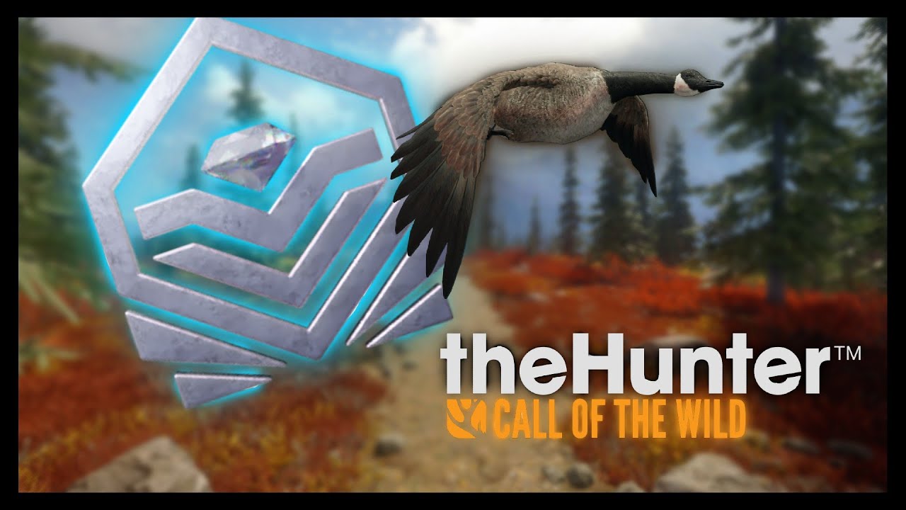 MASSIVE DIAMOND GOOSE!! 60 minute trophy challenge!! | TheHunter Call ...