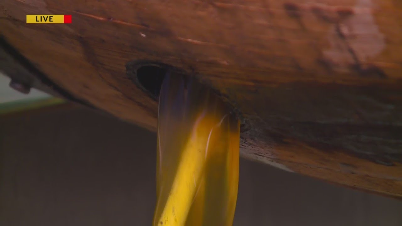 Bee Great Marketplace Debuting Apple Jack Barrel Aged Honey - YouTube