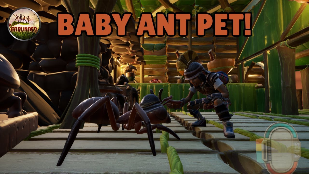 Grandma got Grounded! - EP37 Ant Pet & Wendell's Sca.B - YouTube