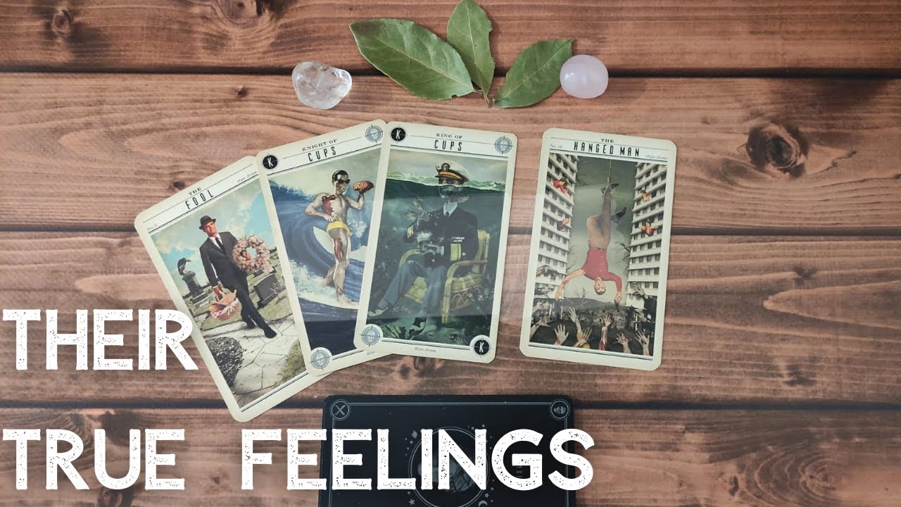 🤍🕯️What Are Their True Feelings For You Pick a Card Timeless Tarot ...