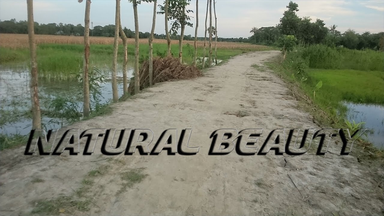 Natural Beauty of Bangladesh-Village Tinchita Amirabad Daudkandi Comilla - YouTube