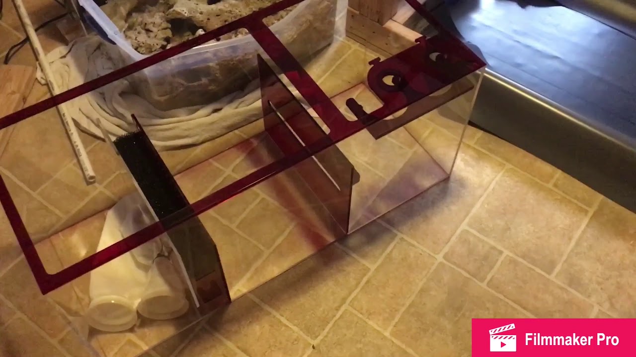 Unboxing the trigger ruby 36 - YouTube