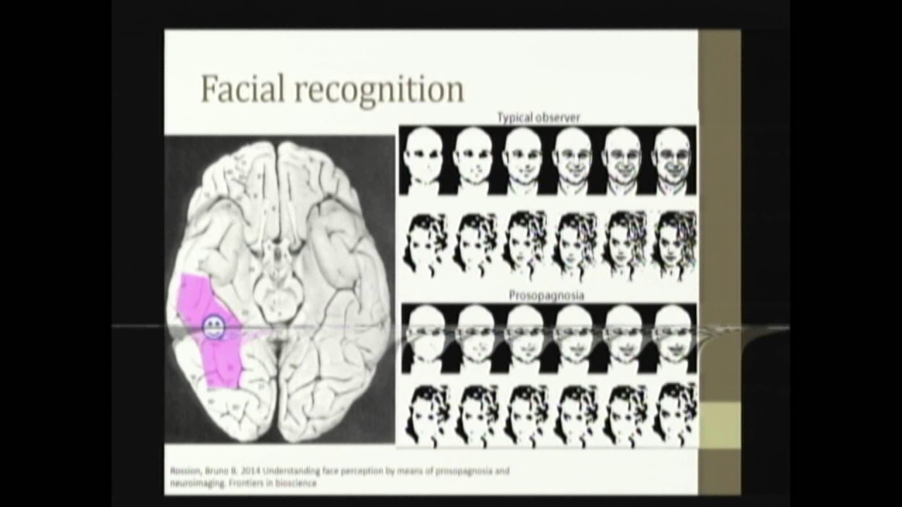 The Visual Word Form Area - YouTube