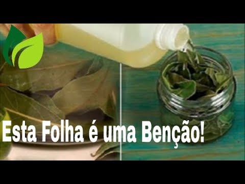 ESTA FOLHA É UMA BÊNÇÃO: COMBATE INSÔNIA, PRESSÃO ALTA, açúcar e Gordura no sangue | DC Natural