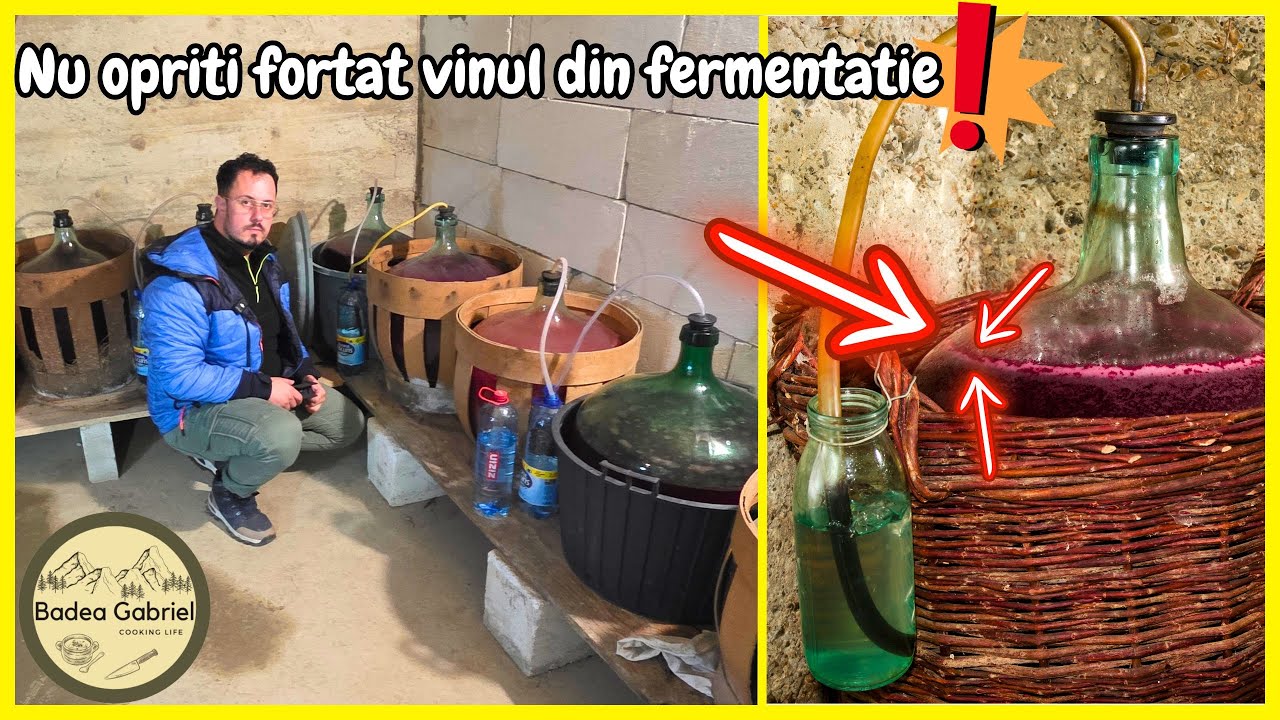 NU OPRITI VINUL FORTAT DIN FERMENTATIE‼️ - Cea mai Mare Greseala cand ...