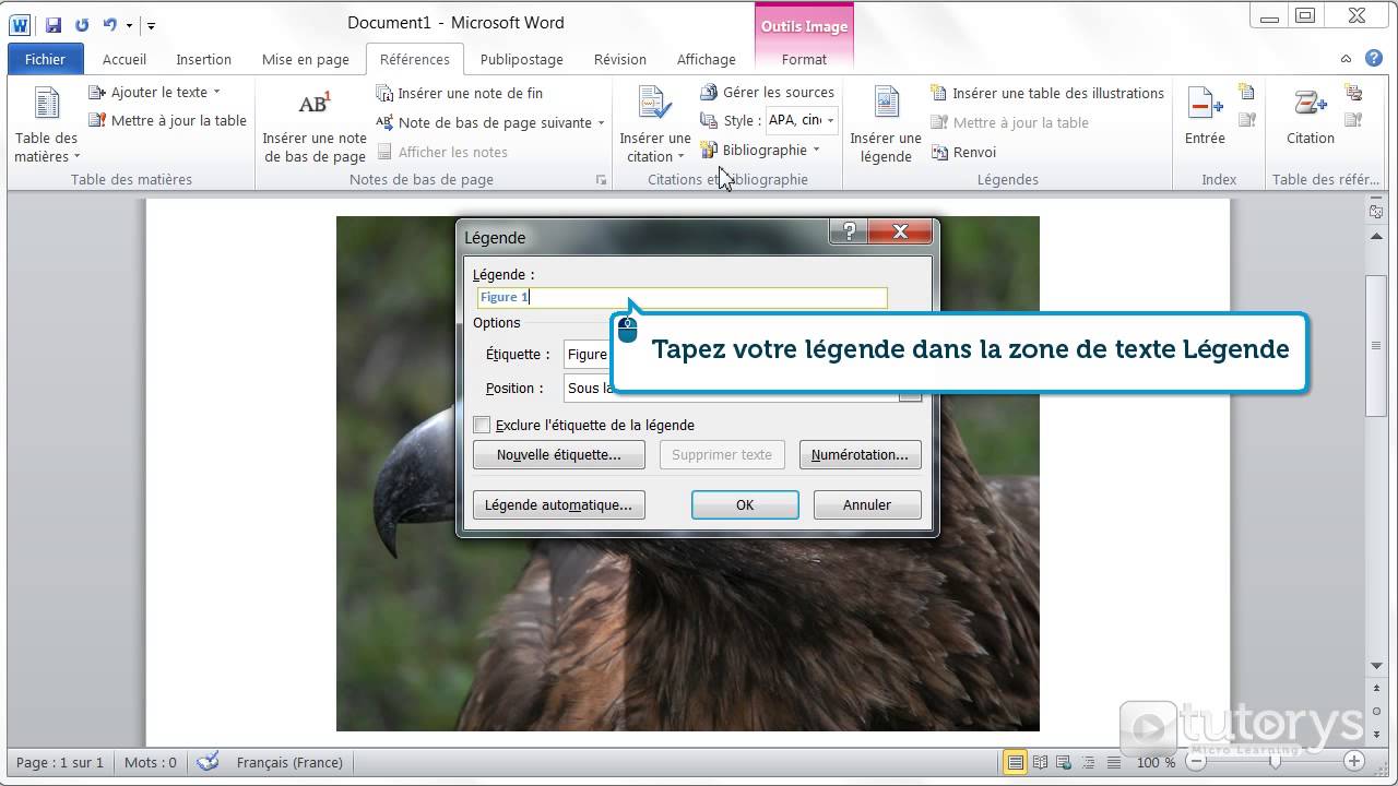 Comment insérer des légendes avec Word 2010 ? - YouTube