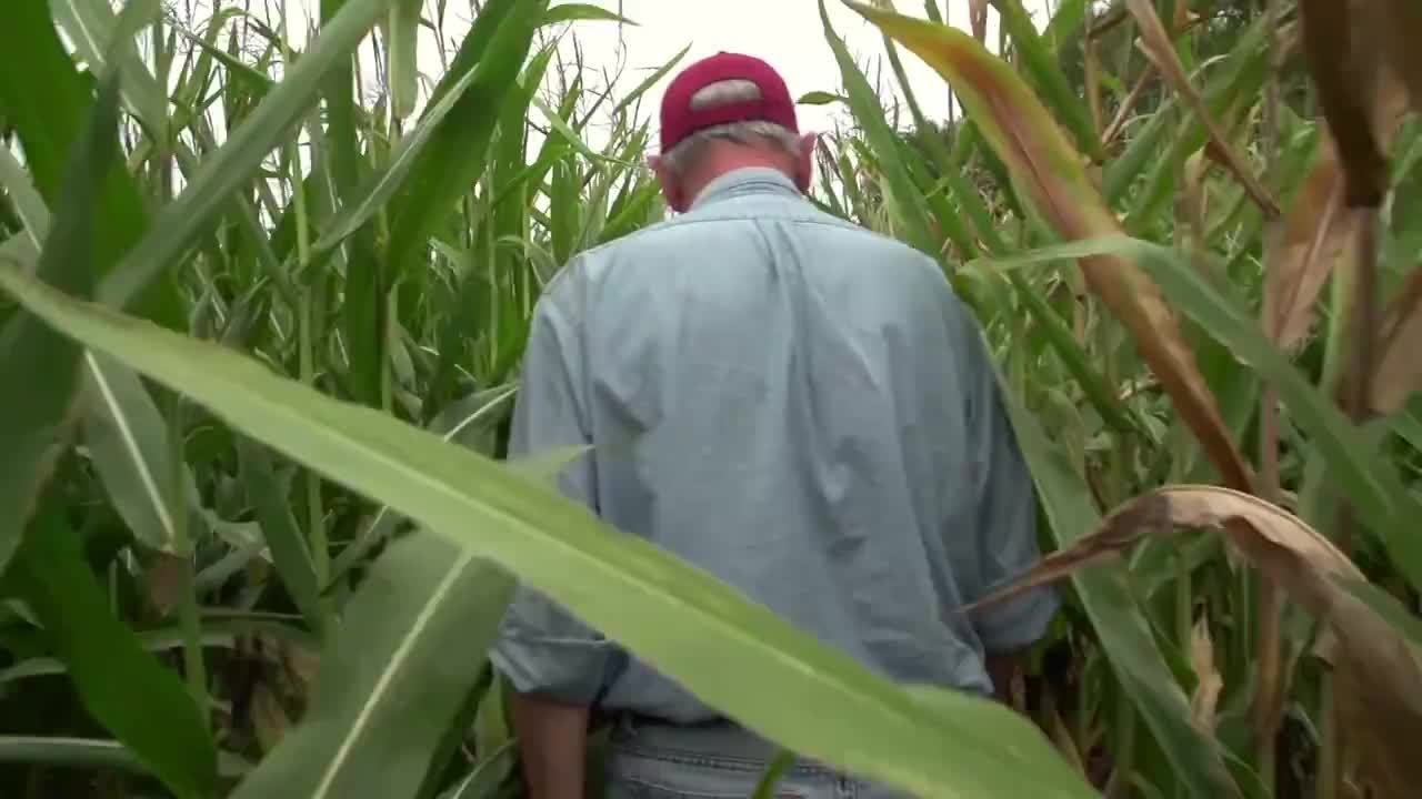 Meet Robinson Fresh (30 Seconds) - YouTube