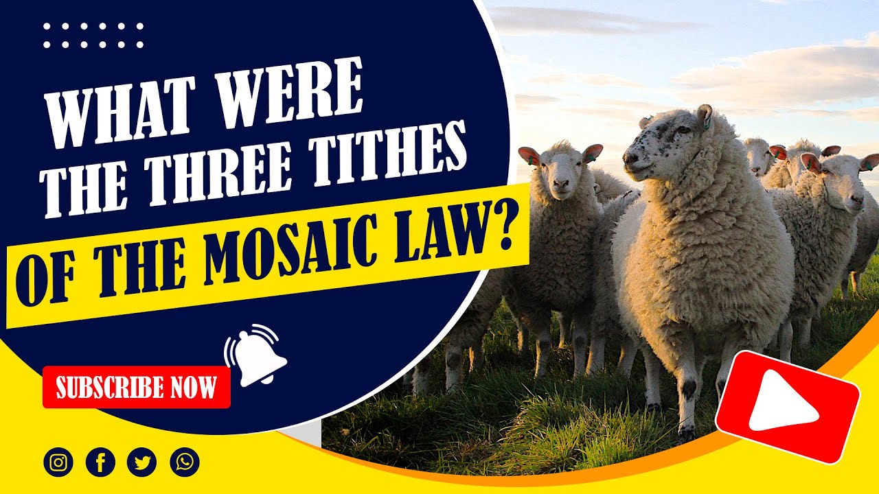 What are the Three Tithes in the Old Testament? A Detailed Study of ...