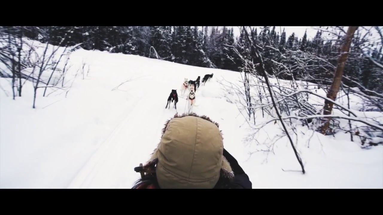 Discover Alaska! Experience the glory of Northern Lights - YouTube