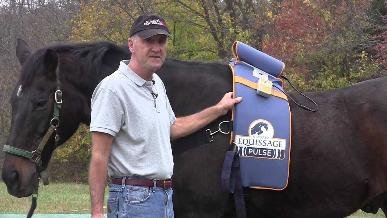 Using the Back Pad and Hand Unit - Niagara Equissage - YouTube