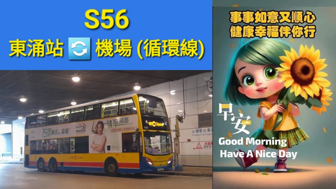 Hong Kong Bus CTB 8521 @ S56 城巴 Alexander Dennis Enviro500 MMC 東涌站 機場 東 ...