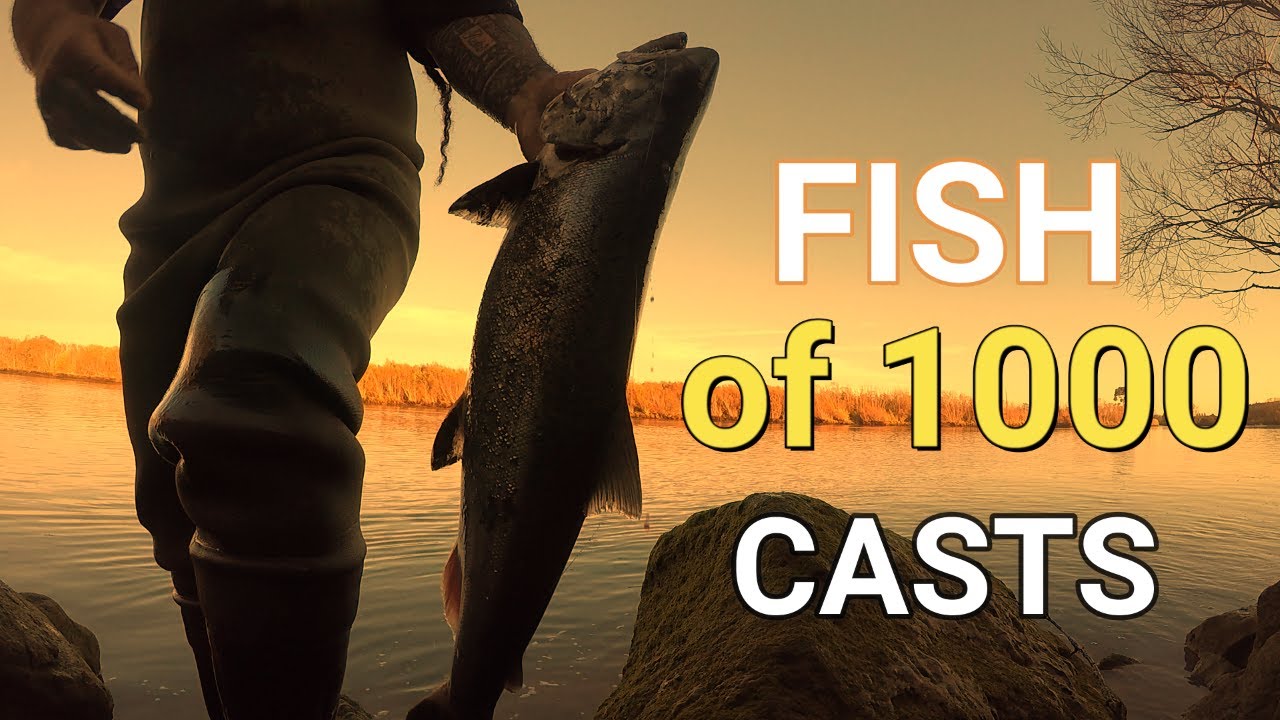 THE SALMON FISHING FEVER 2021.. "fish of 1000 casts!@#$% waimak nz ...