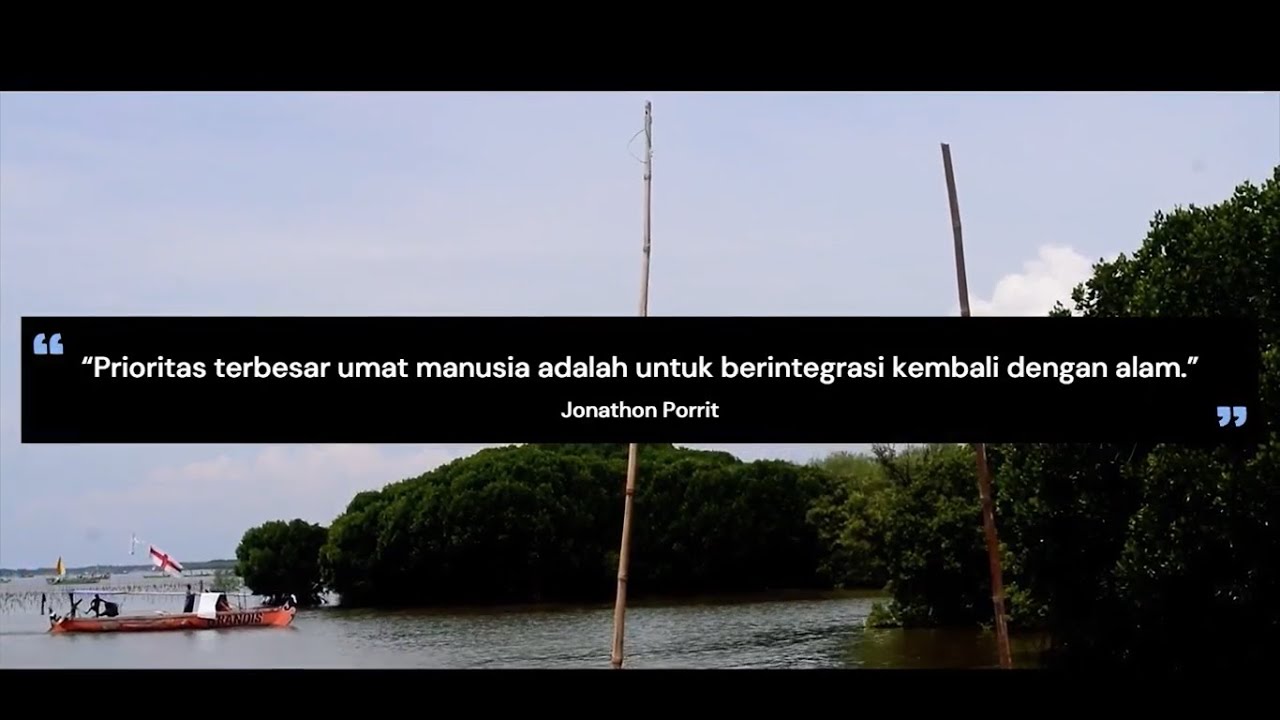 Tugas Praktikum Kelompok 7 - Agrosilvikultur (Agroforestry 2024) - YouTube