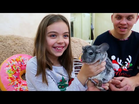Jasmina si Chinchilla Fara Nume  | Surpriza la Ziua de Nastere