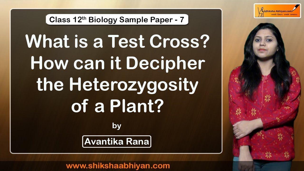 Q12 What is a test cross? How can it decipher the heterozygosity of a ...