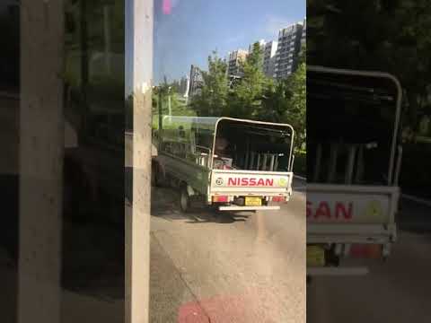 SG1713H 965 - YouTube