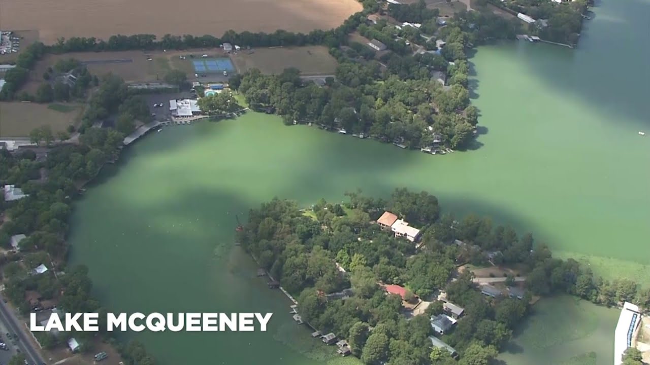 Lake Gonzales Oak Lake Subdivision Real Estate Homes For Sale In Oak