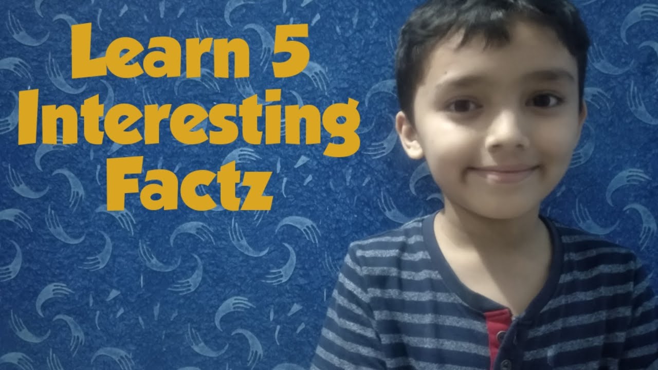 Fun Facts YouTube fun-facts-youtube
