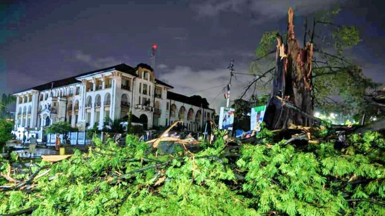 THE COTTON TREE: Freetown’s most iconic landmark is gone - YouTube