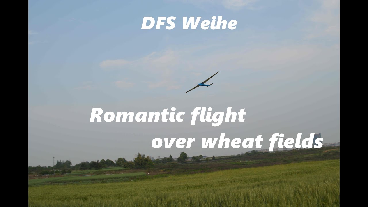 Experience the Elegance: DFS Weihe 1:6 Glider Model Airplane Soars ...