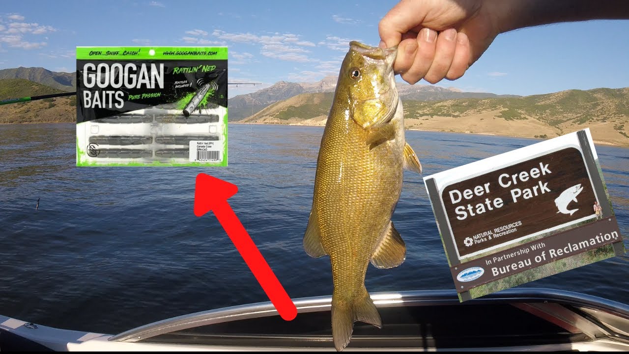Fishing GOOGAN BAITS Ned Rig For Smallmouth (Deer Creek UT) - YouTube