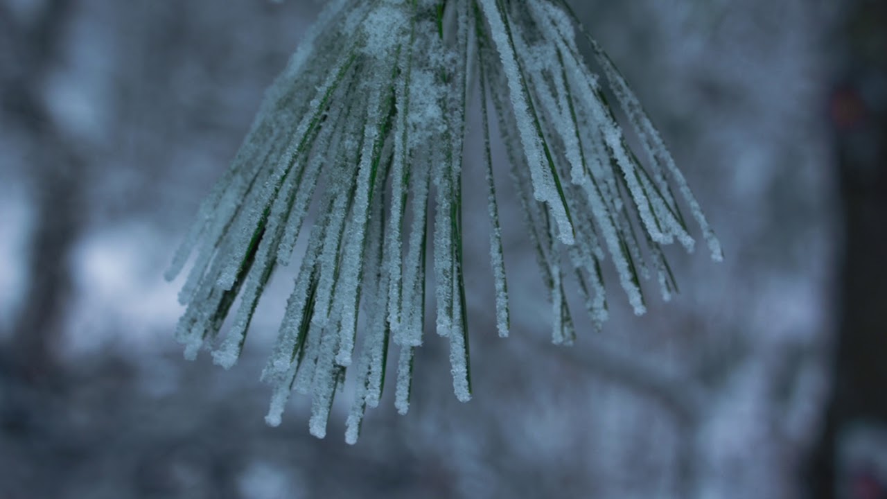 Winter Solstice - Ursa Mini 4.6k - YouTube