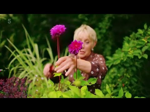 |NEW| Summer Gardening with Carol Klein🍀Episode 5