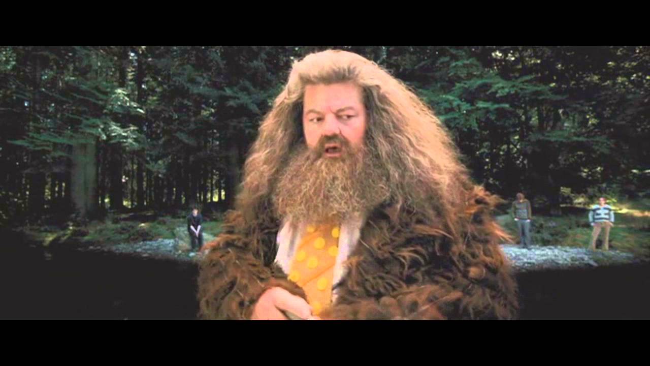 Buckbeak's Fate | Harry Potter and the Prisoner of Azkaban - YouTube