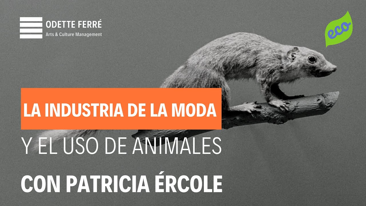 LA INDUSTRIA DE LA MODA Y EL USO DE ANIMALES Ep.11 T.3 Diosa Gaia con ...