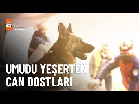 Köpük, Poyraz, Alfa, Proteo… - atv Ana Haber 20 Şubat 2023