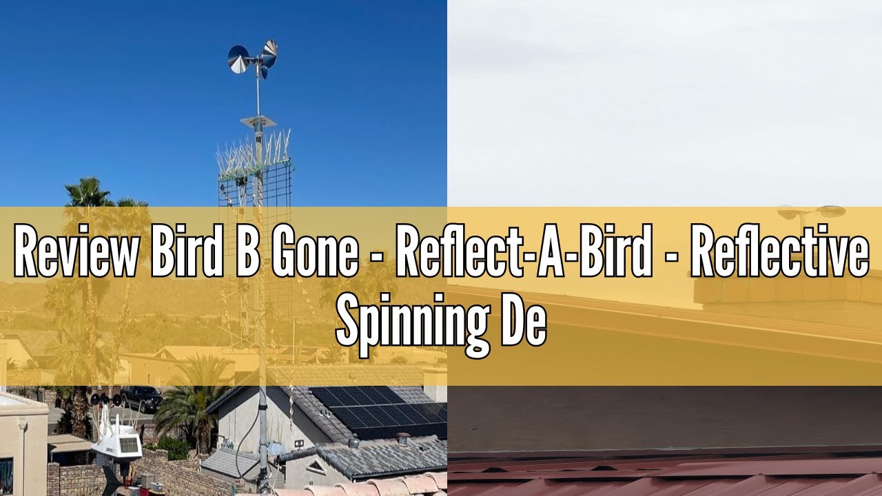 Review Bird B Gone - Reflect-A-Bird - Reflective Spinning Deterrent - Repels Pigeons, Sparrows ...