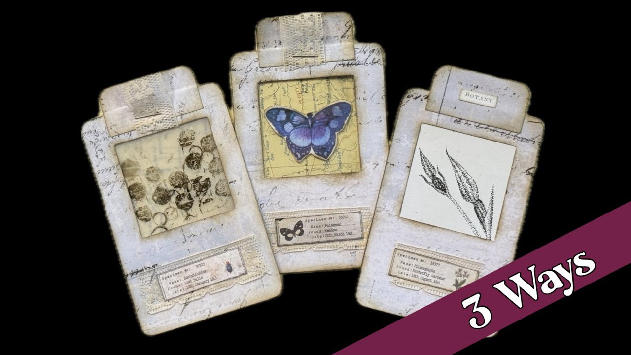 Specimen Slides 3 Ways - YouTube